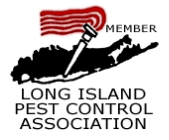 React Pest Control, Inc. - Get Rid of Unwanted Pests