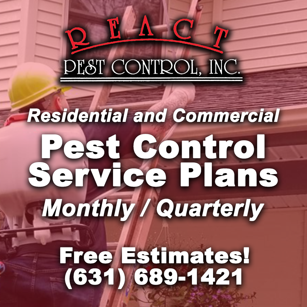 Pest Control Service Plan - React Pest Control, Inc.
